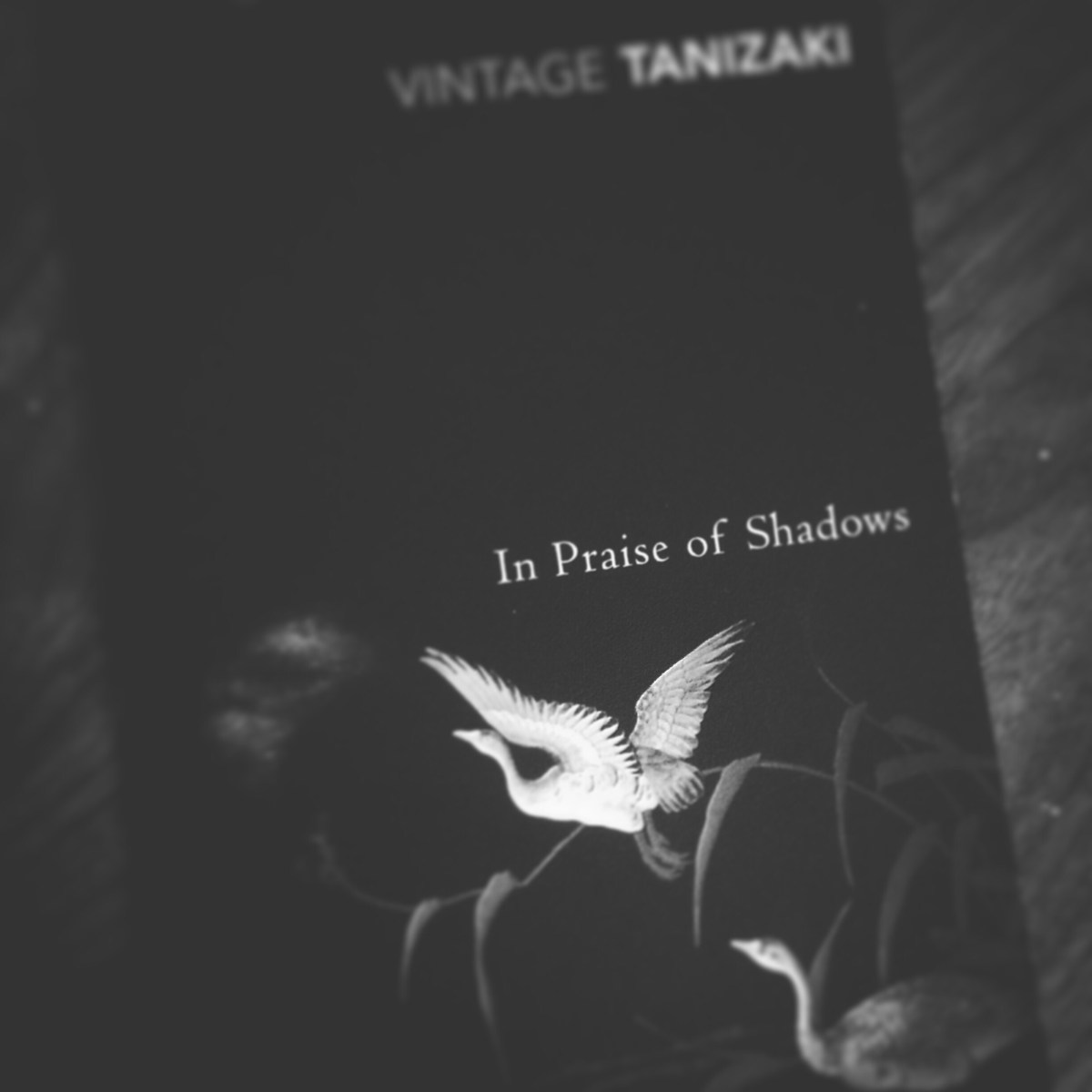 Jun’ichirō Tanizaki: In Praise of Shadows – Moonshake Books